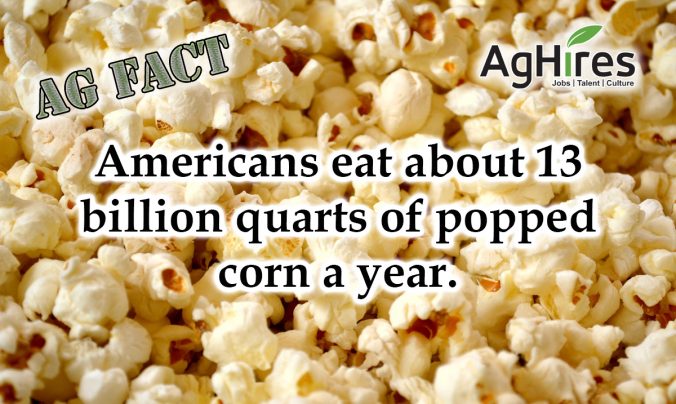 Americans Eat About 13 Billion Quarts of Popcorn a Year